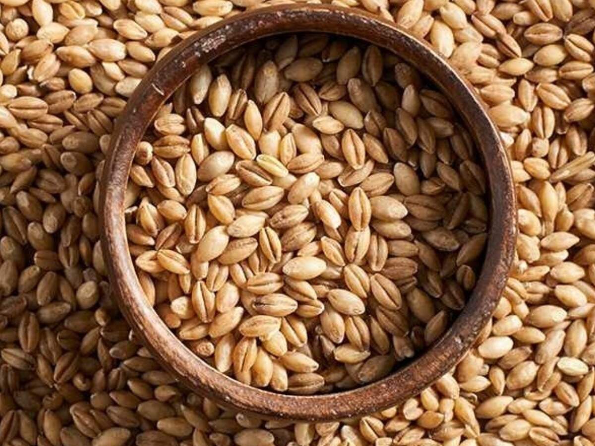 A New Kind Of Carbohydrate Found In Barley Study Misskyra